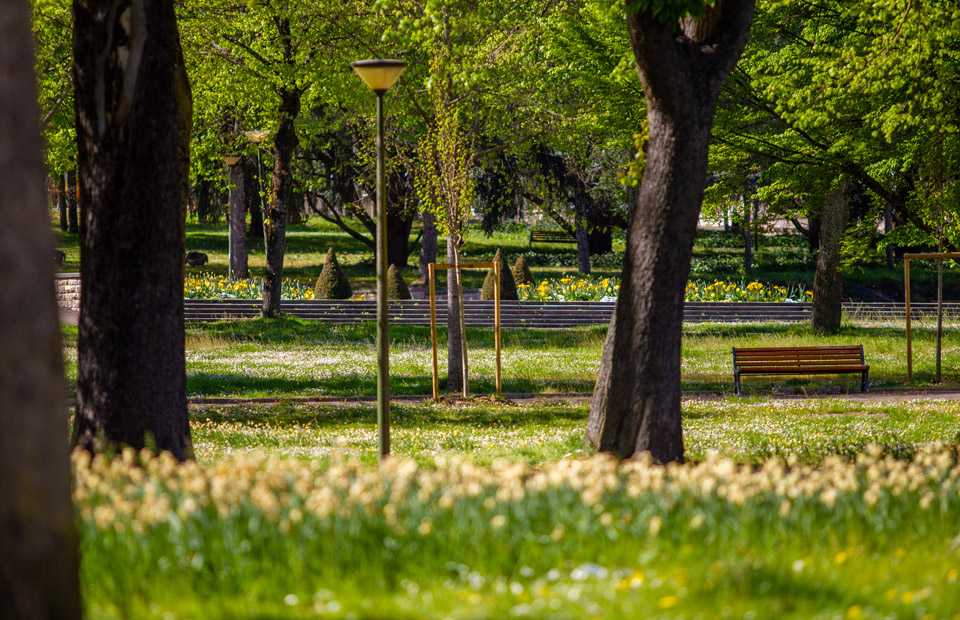 Maupas - Victor-Hugo | nevers.fr